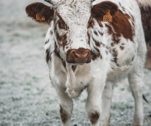 The January Fundamentals that Matters More Than You Think - West Texas ...